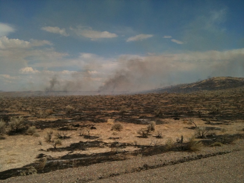 Afternoon thunderstorms sparked wildfires across southern Idaho | ktvb.com