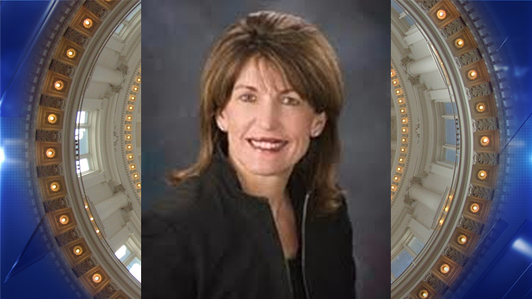 Former state senator won't run for schools chief | ktvb.com