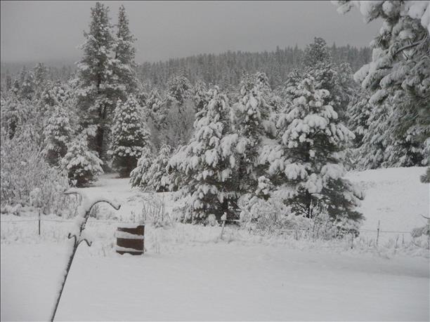Cascade, Idaho with a little over a foot of snow | ktvb.com