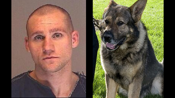 Suspect accused of choking police dog | ktvb.com