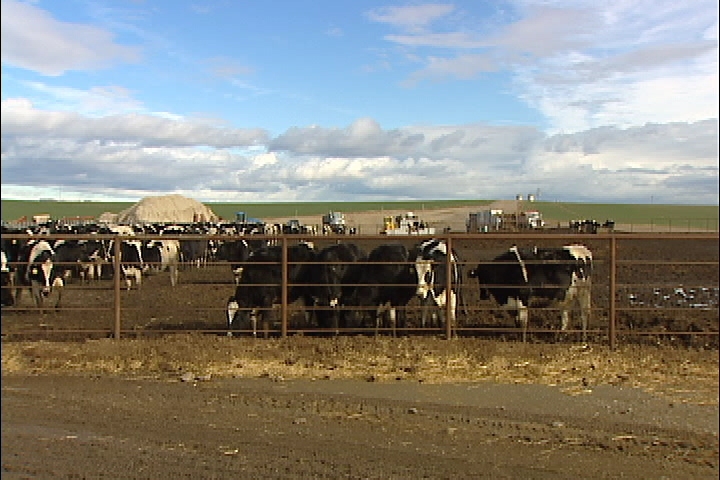 Worker killed in explosion at S. Idaho dairy | ktvb.com