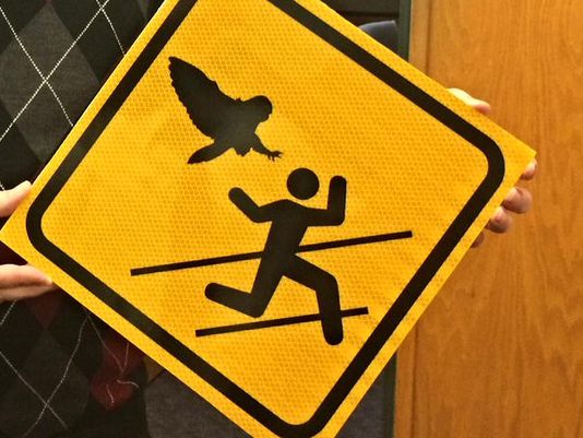 Oregon town's new warning signs: Watch out for attacking owls! | ktvb.com