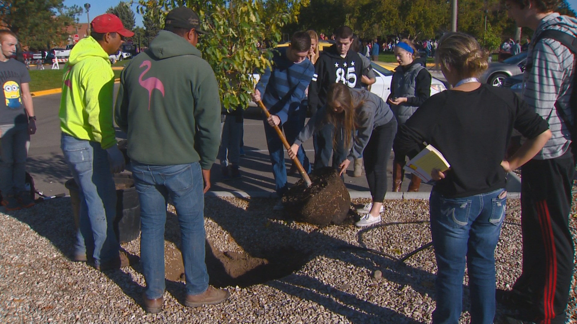 NNU becomes first tree campus in Idaho | ktvb.com