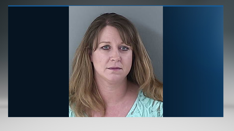 Woman pleads guilty to embezzling $530K from CSI | ktvb.com