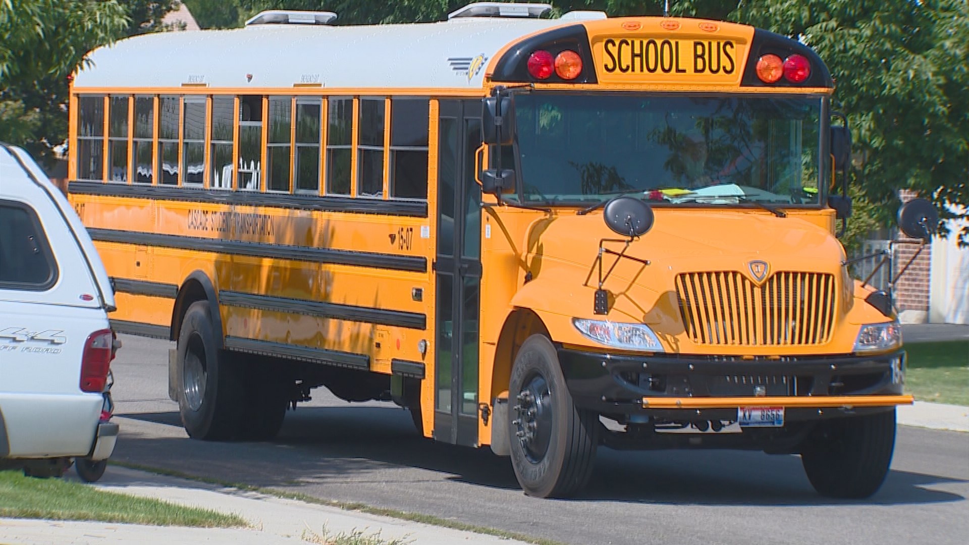 School Bus Reference