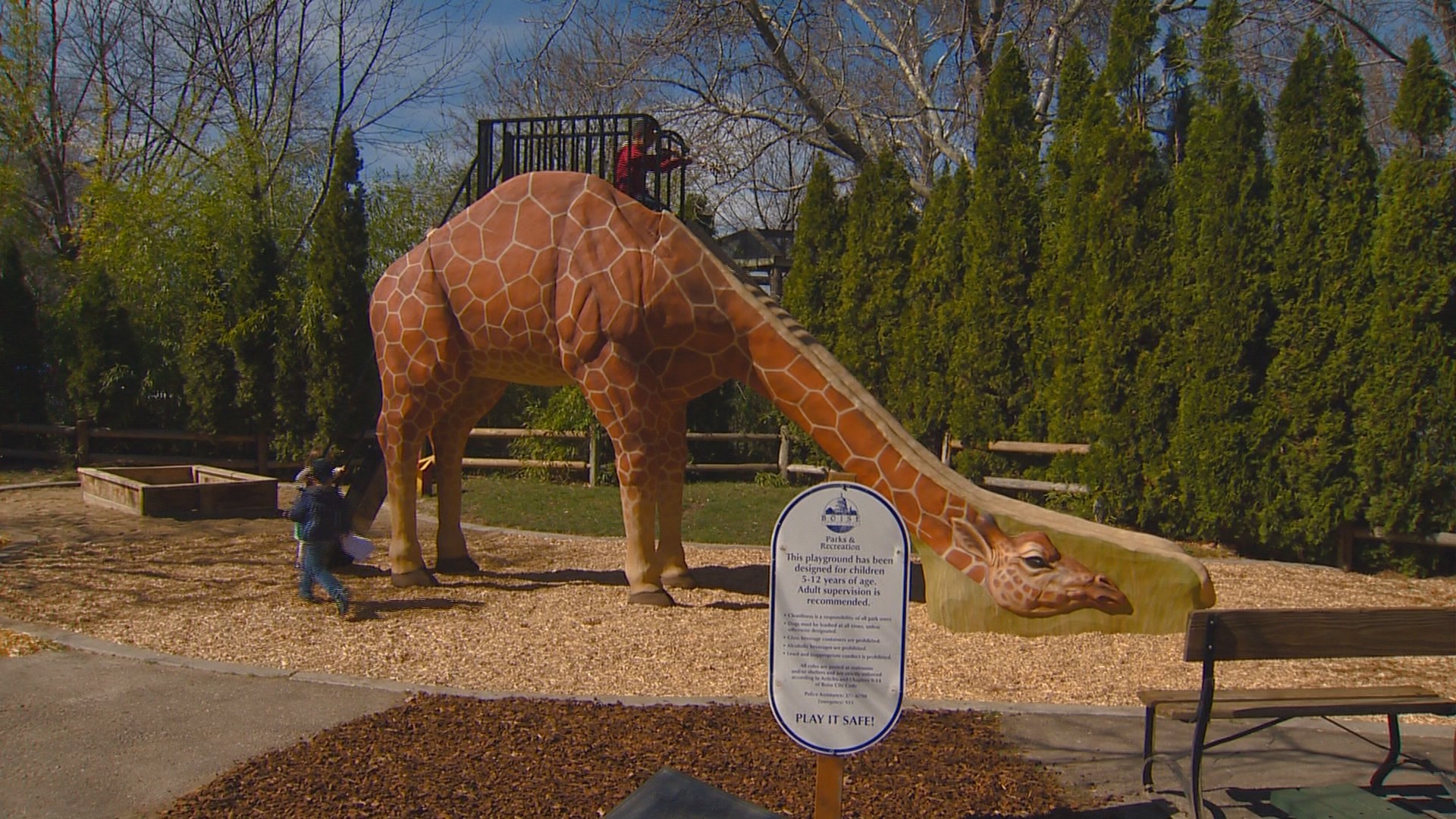Zoo Boise shows off new giraffe slide | ktvb.com