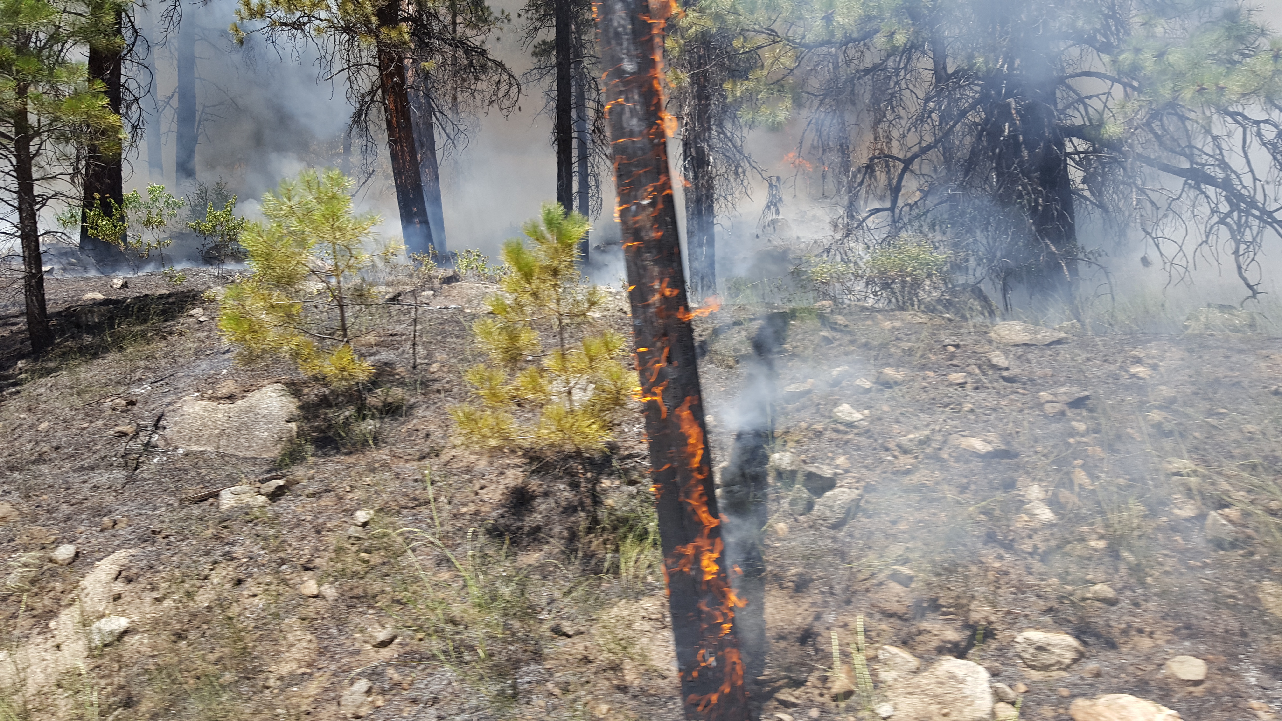 Wildfire near Banks fully contained | ktvb.com