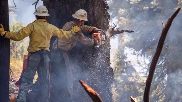 Pioneer Fire grows to more than 10,000 acres, reaches Idaho 21 | ktvb.com