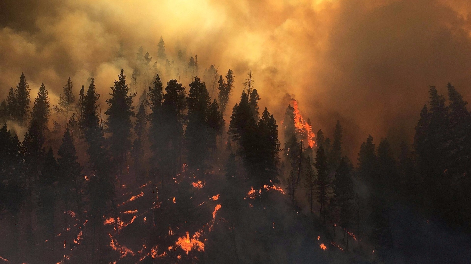 Level 2 evacuations in place for Lowman as Pioneer Fire burns | ktvb.com