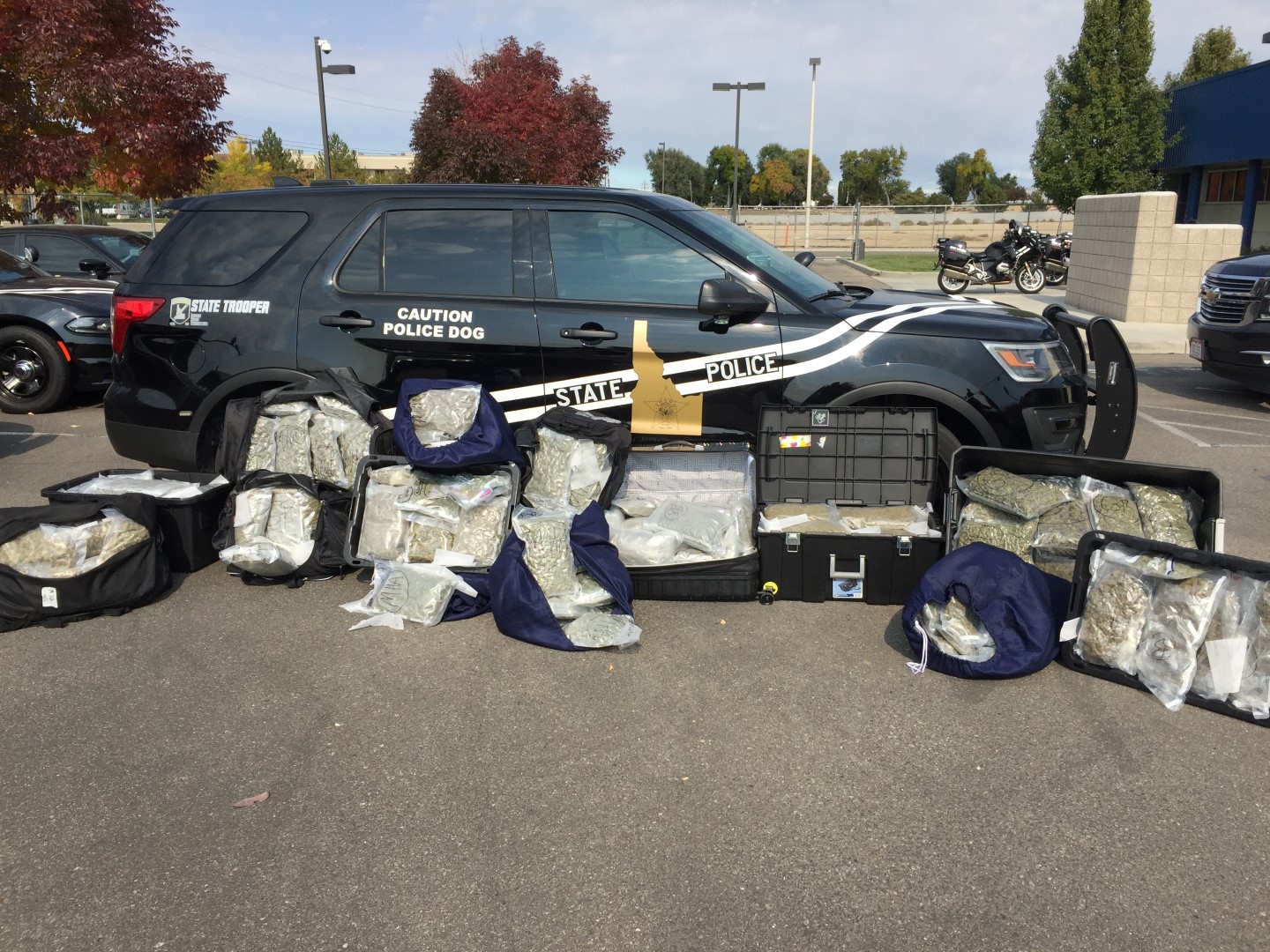 What 215 Pounds of Pot Seized in Idaho Drug Bust Looks Like | wfmynews2.com