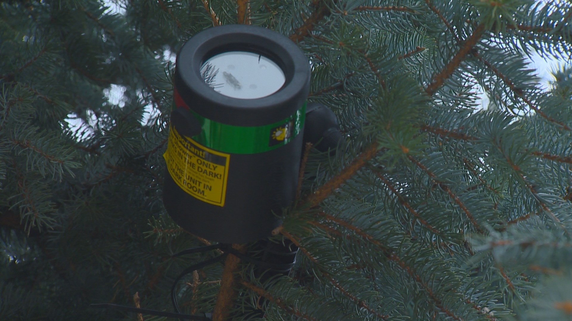 Thief steals Boise woman's Christmas decorations | ktvb.com